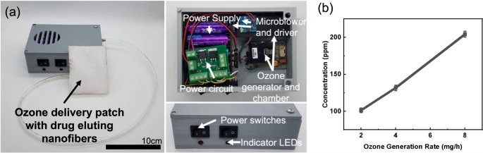 Wearable adjunct ozone and antibiotic therapy system for treatment of ...