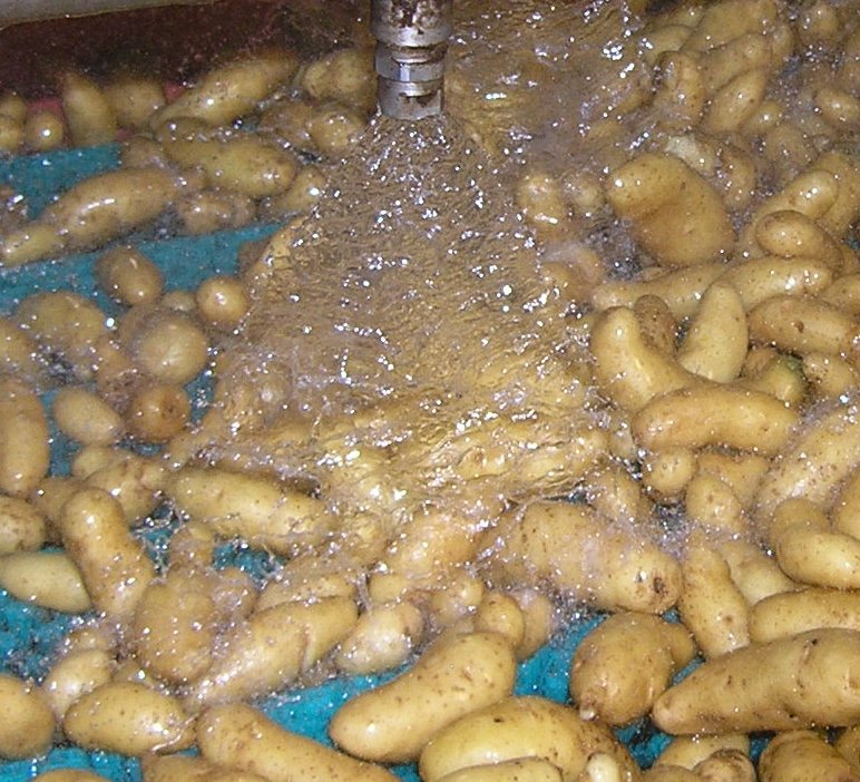 Challenges of Spraying Ozonated Water – Oxidation Technologies News