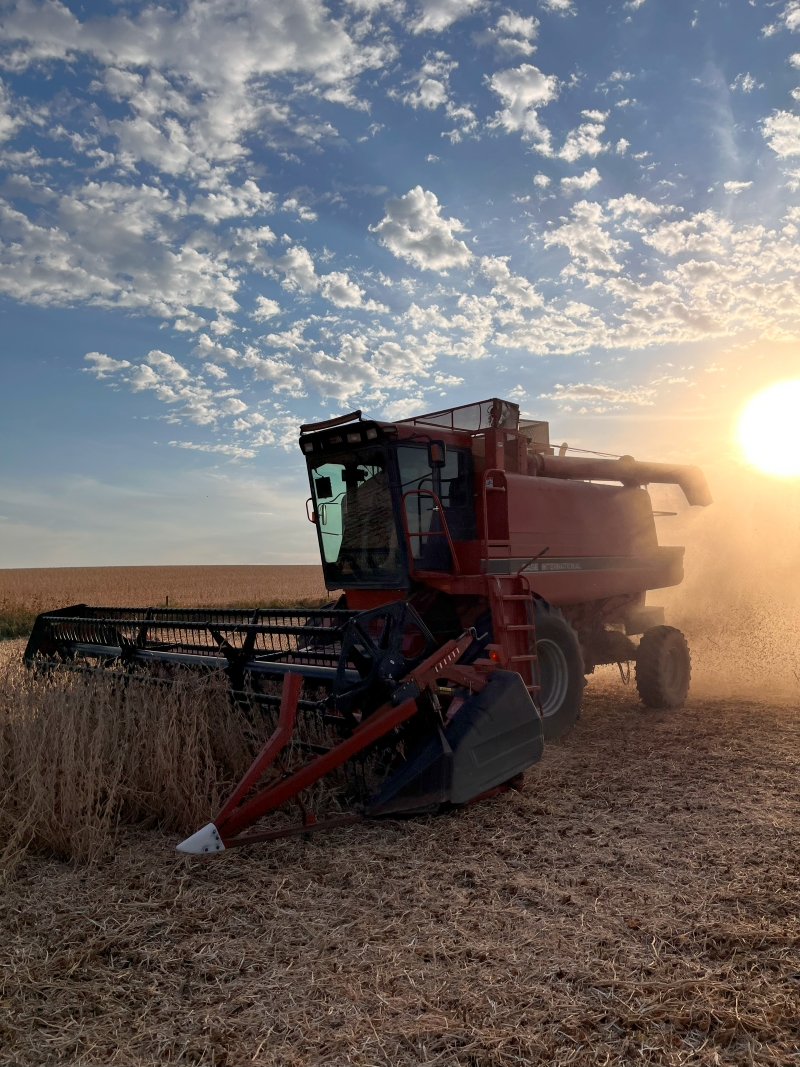 Ozone in the World Around You: Insect Control in Grains – Oxidation ...