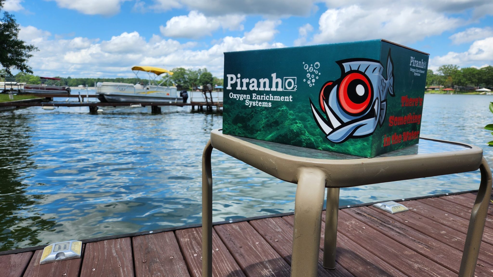 Unleash the Power of the PiranhO2 Oxygen Enrichment System: A ...