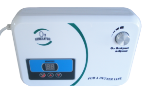 Introducing the OZX-300 Ozone Generator: Affordable Excellence for ...
