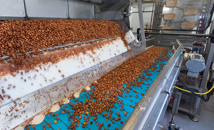 Winning the War on Foodborne Bacteria with Ozone: A Smarter Sanitation ...