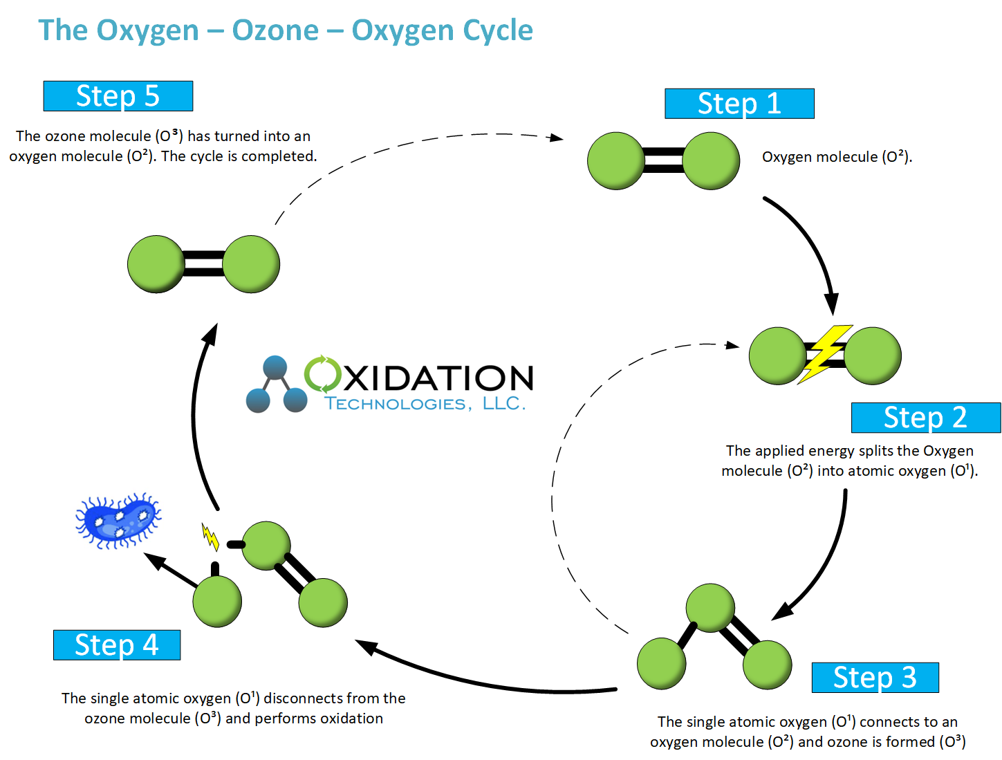 Ozone: The Next Big Thing in Poultry Farming – Oxidation Technologies News