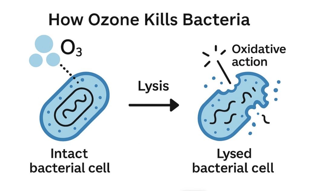 Ecoli Reduction with Ozone – Oxidation Technologies News
