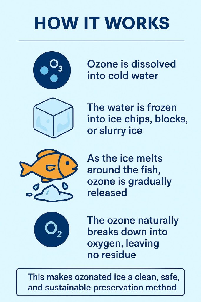 Ozonated Ice: A Smarter Way to Keep Seafood Fresher, Longer – Oxidation ...